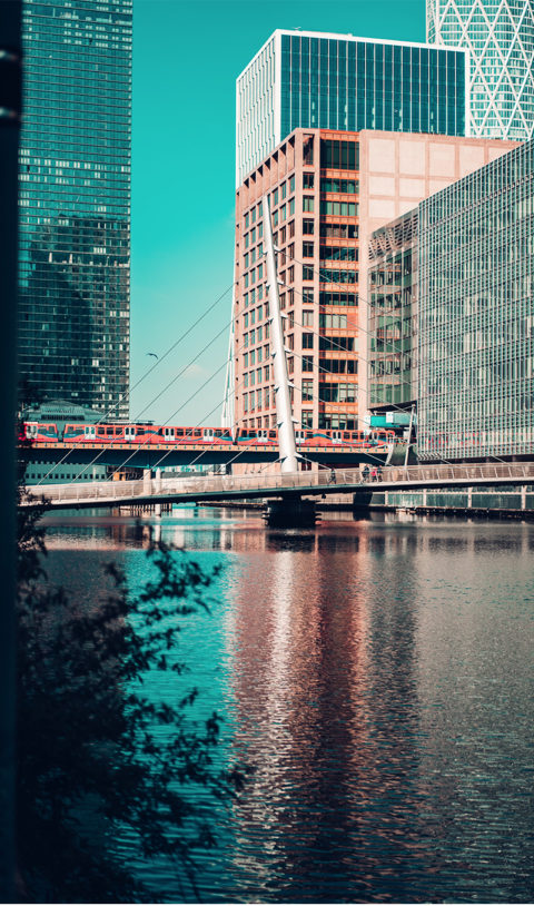 Professional Services - Buchler Phillips