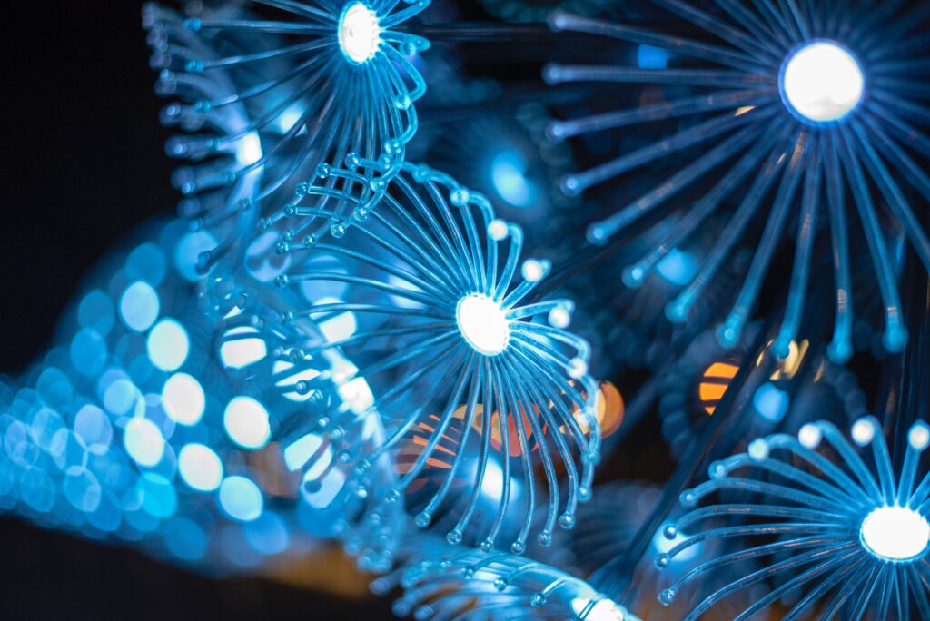 Season's Greetings from Buchler Phillips! - Buchler Phillips